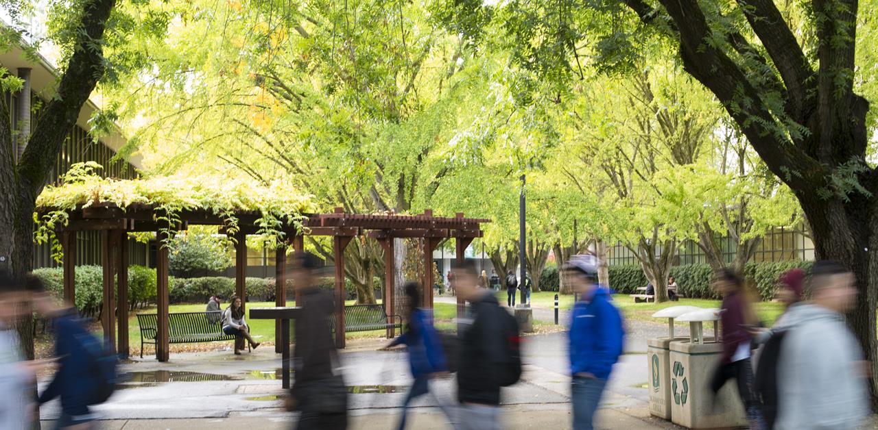 Campus Mental Health and Well-Being