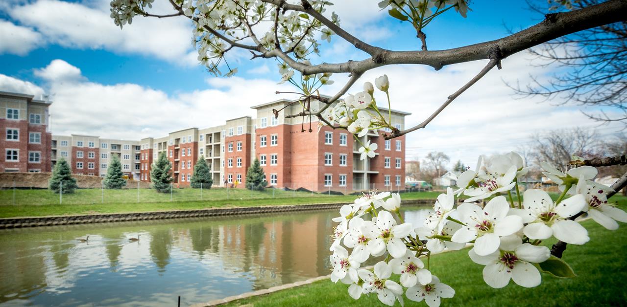 Carnegie Elective Classification Series