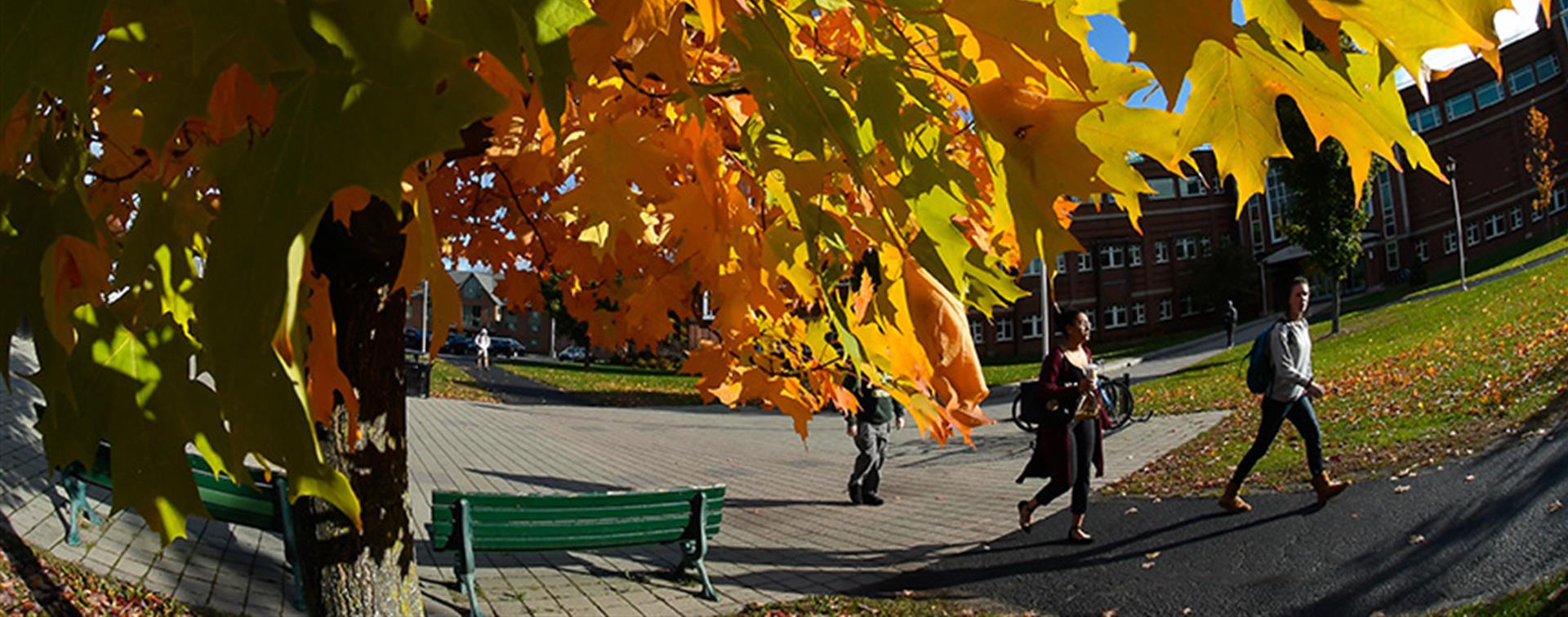 Carnegie Elective Classification Series