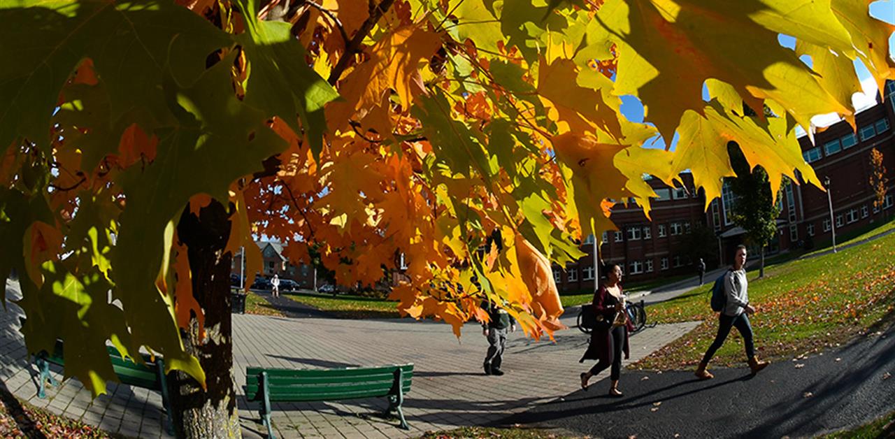 Carnegie Elective Classification Series