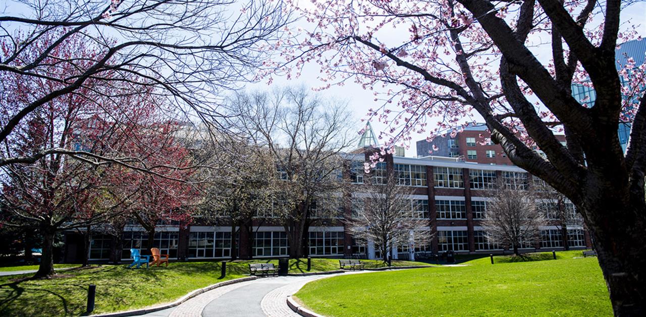 Carnegie Elective Classification Series: Community Engagement Workshop ...