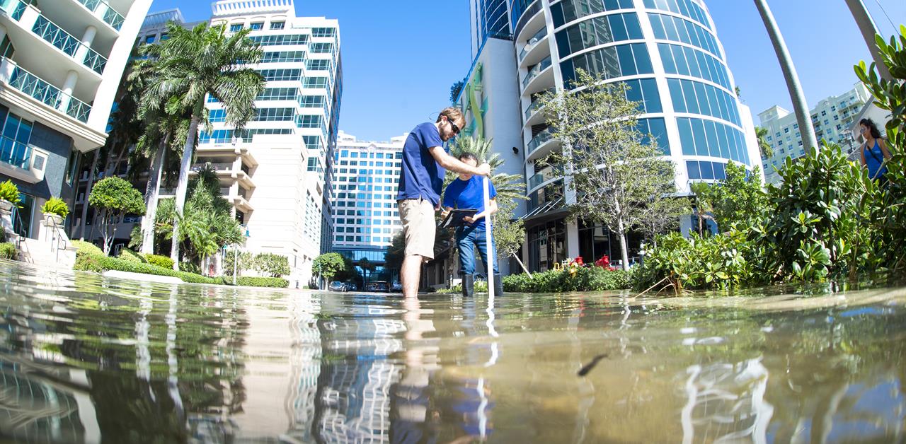 Florida Atlantic University Establishes School Devoted to Environmental ...